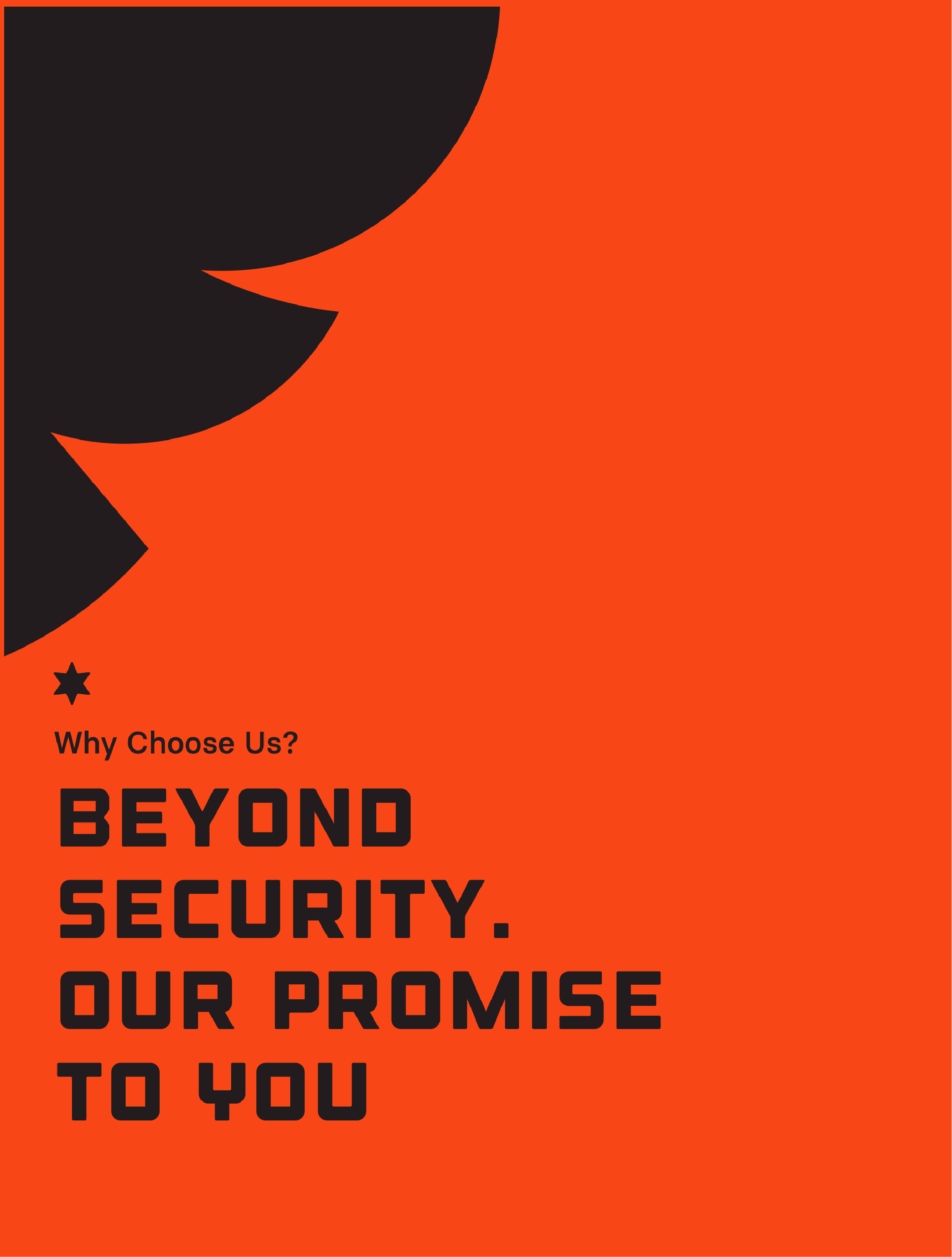 Domov - Security services